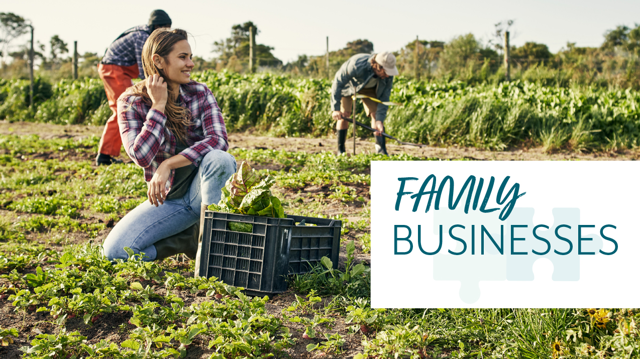 Family Businesses - Stepping stone guide - HCR Law