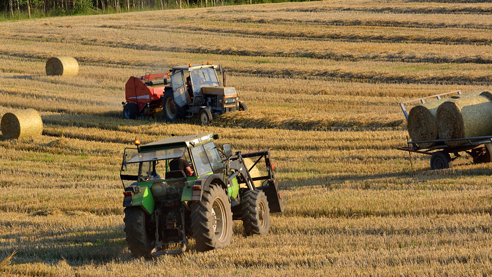 Environmental Land Management Scheme (ELMS) - DEFRA announces how they ...