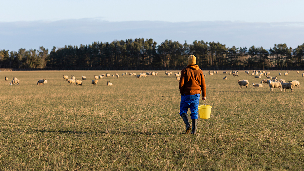 Farm inheritance and proprietary estoppel - HCR Law