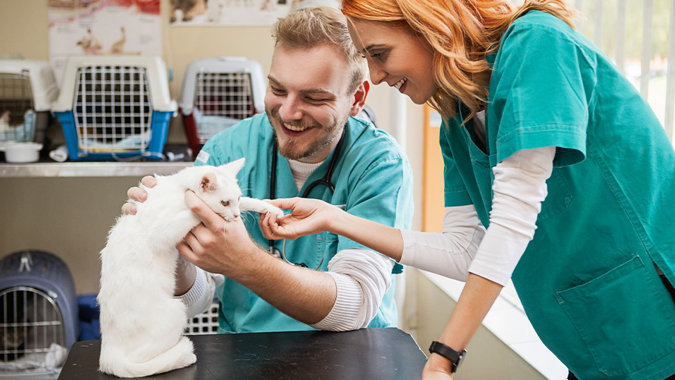 Legal health-check – is the practice in order? - HCR Law