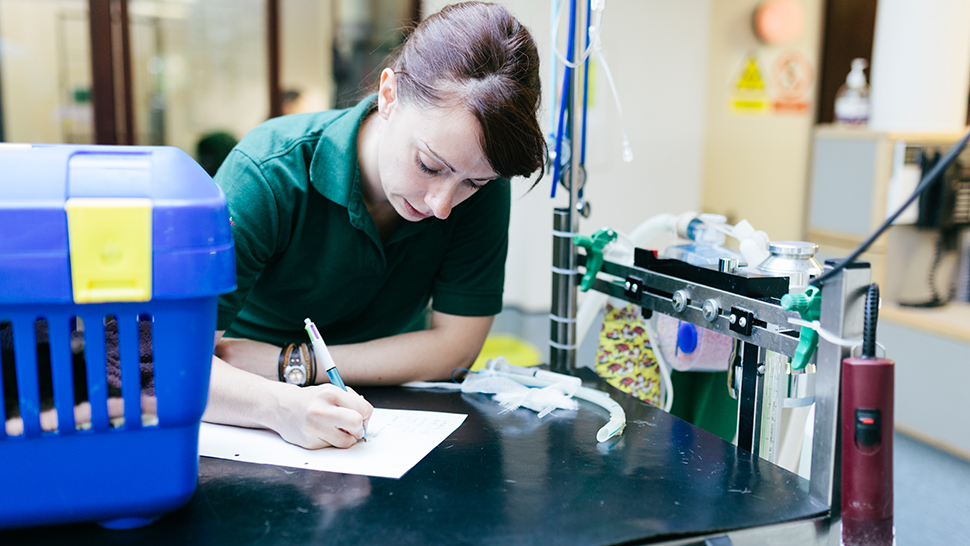 Best finance options for a start-up veterinary practice - HCR Law