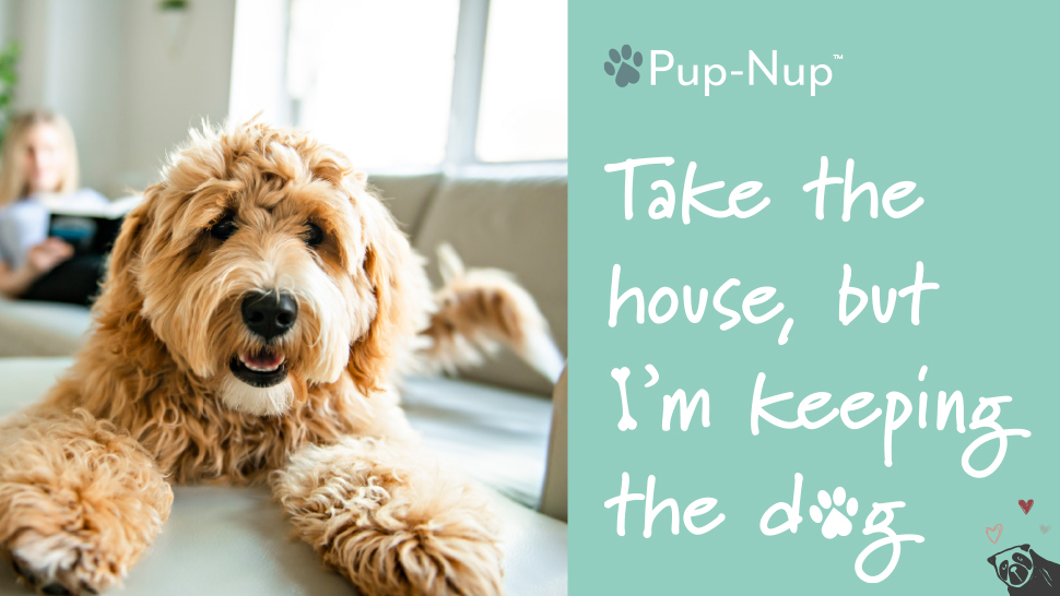 Take the house, but I’m keeping the dog - how a Pup-Nup™ can help ...
