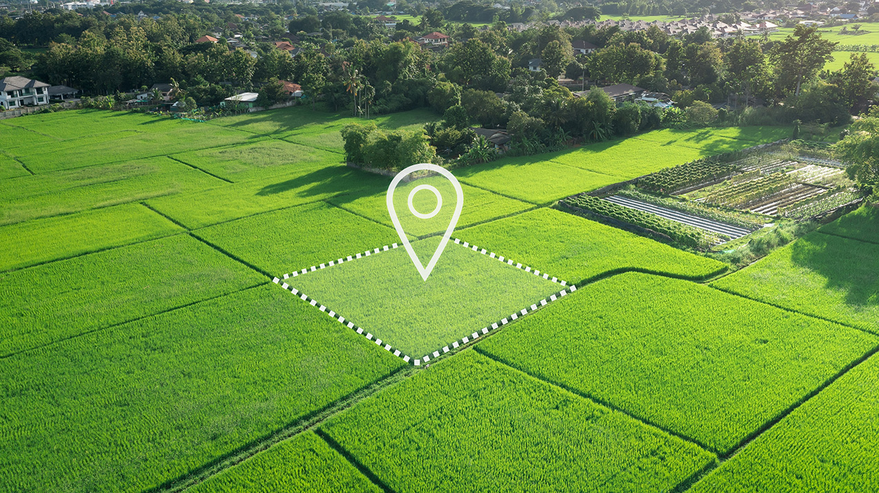 Agriculture and Estates Partner provides expertise in land dispute ...