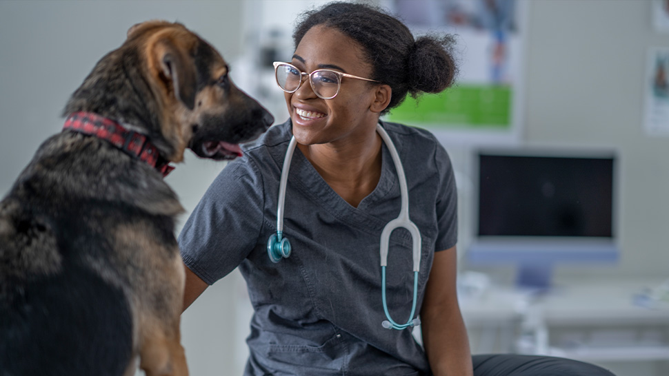 I’m planning to sell my practice – what do I need to do first? - HCR Law