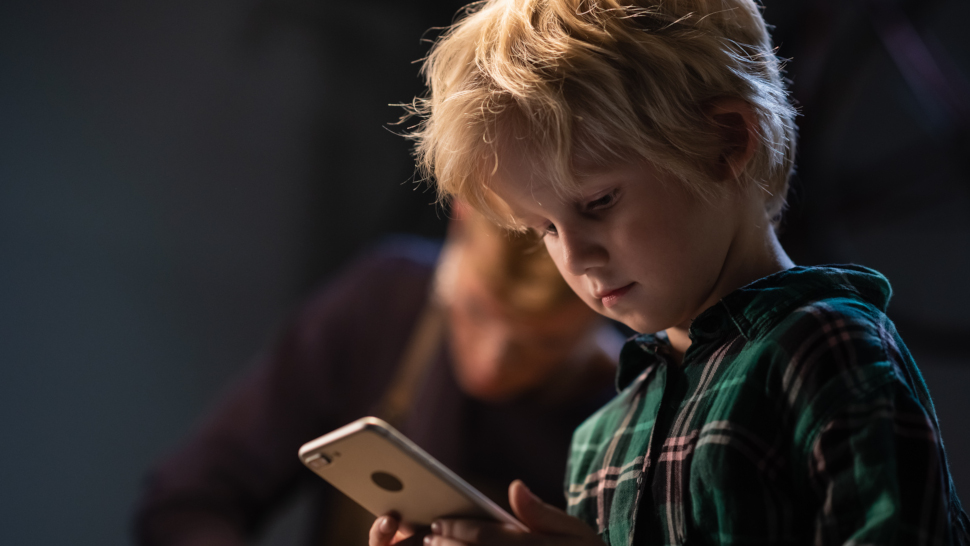 The Online Safety Bill - HCR Law