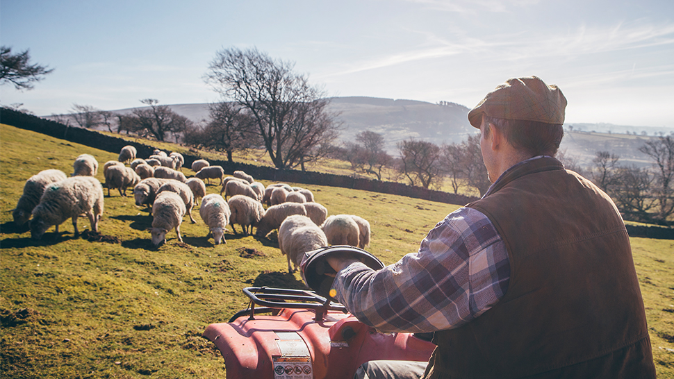 Agricultural tenancies: new code of good practice - HCR Law